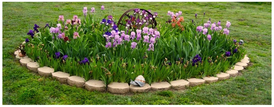 Two Men And A Little Farm Iris Flower Beds Inspiration Thursday