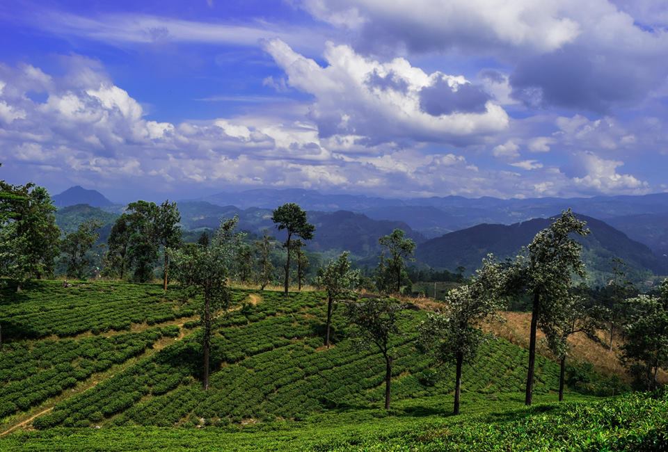 Kirigalpoththa: Dolosbage