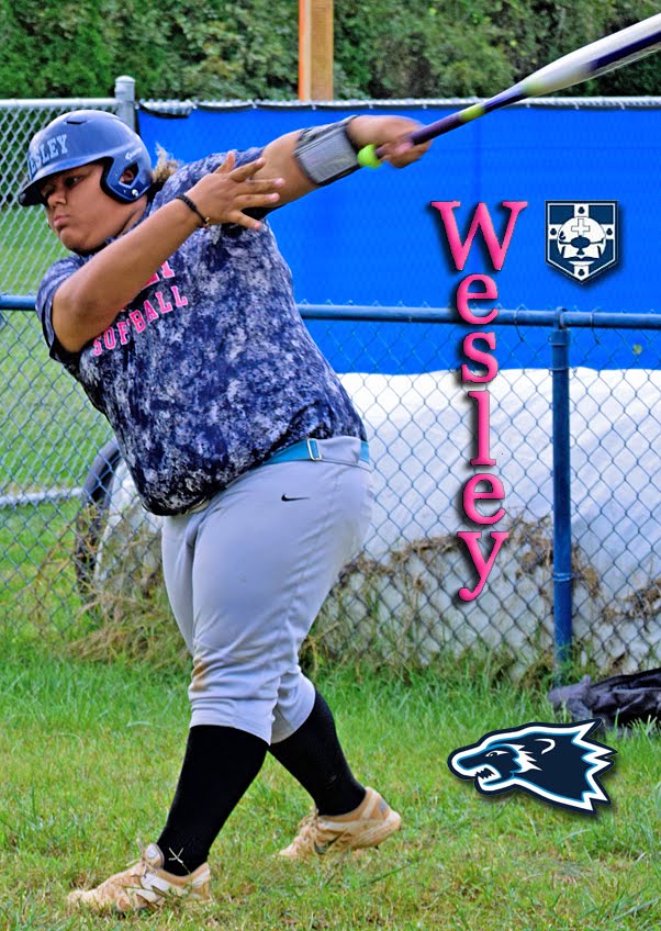Wesley Wolverines Fastpitch Softball: TIMING IS EVERYTHING