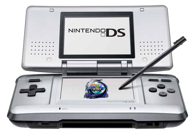 De Nitendo DS: