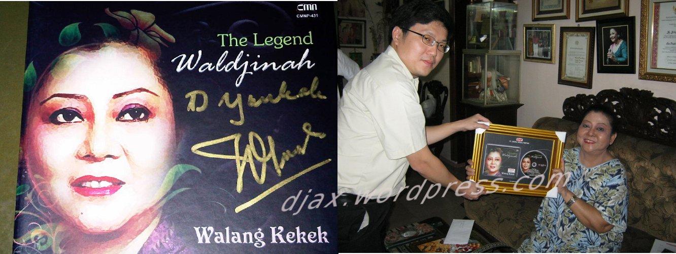 The Beauty of Indonesia