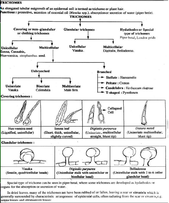 .: T.S & Their Characteristics