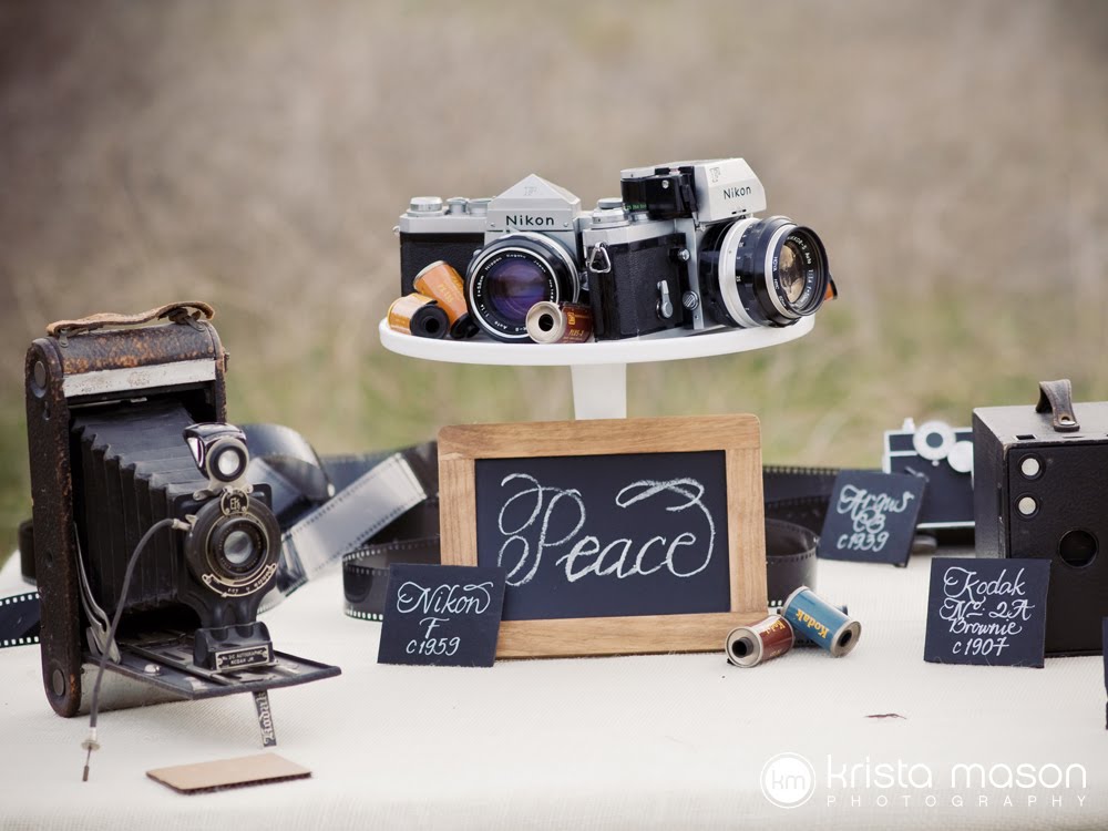 Krista Mason Photography: {joy + cory | portrait | film + lace ...