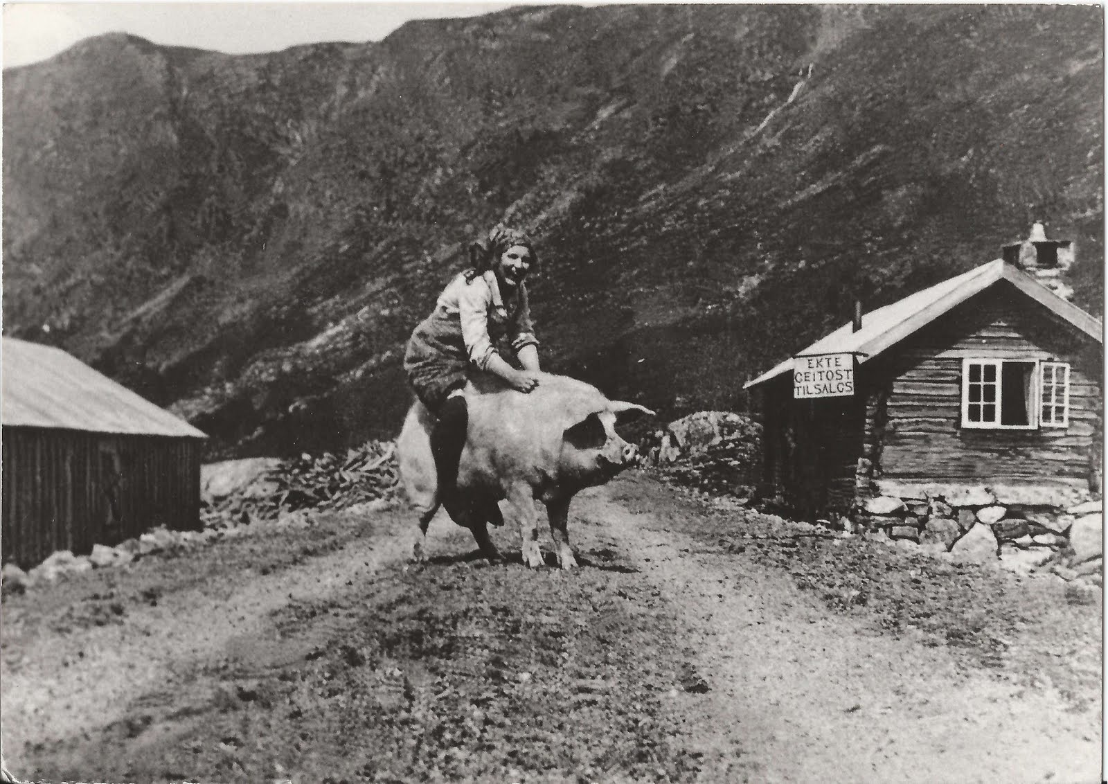 A Journey of Postcards: A funny card from Norway