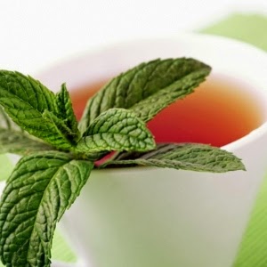 TOP HERBAL REMEDIES FOR PMS ~ Mzizi Mkavu