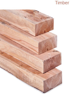 Tree & Plant Species Names & Images | Necessary Vocabulary - Necessary ...