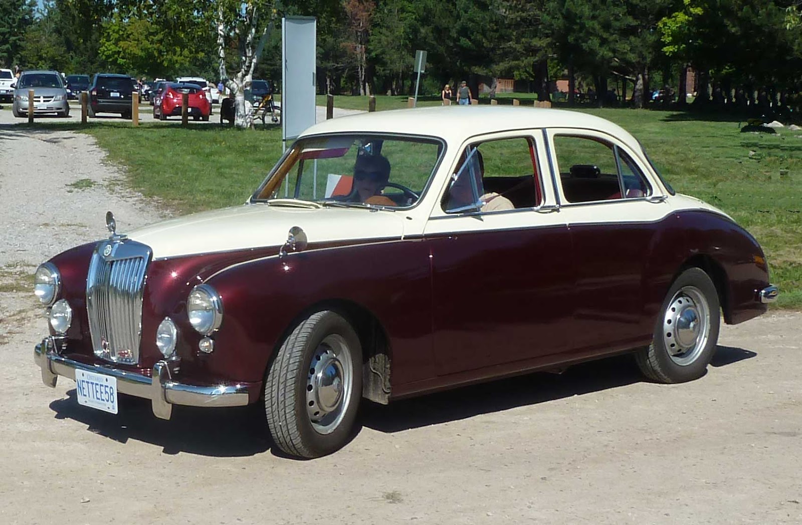 Progress is fine, but it's gone on for too long.: MG Magnette