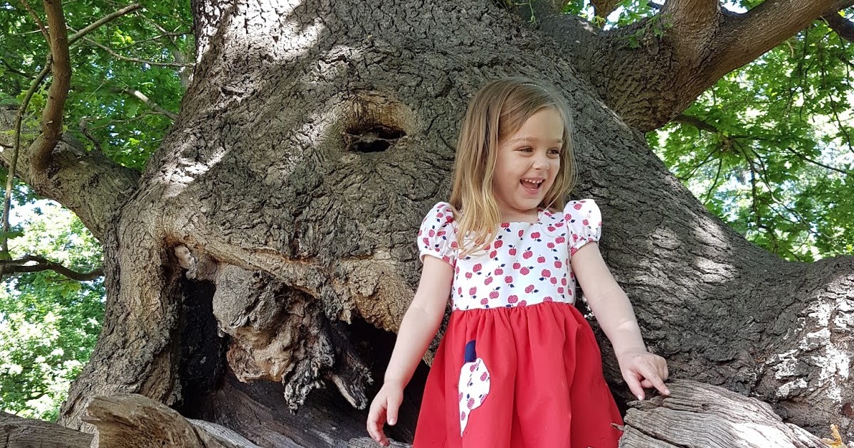 A summer day stroll in the Epping Forest