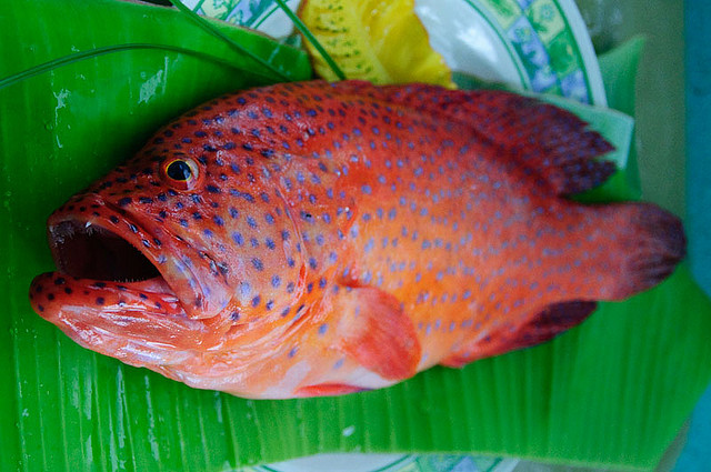 Fish Cusido (Recipe) | Read The Net