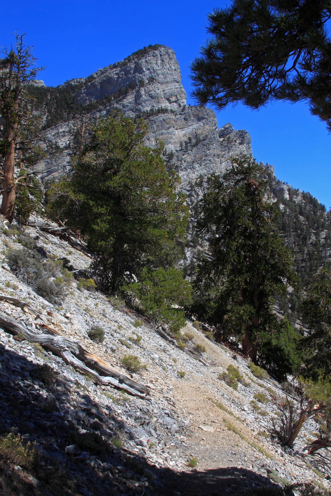 Around the Bend Friends ®: Bonanza Trail (From Cold Creek) - 9/18/12