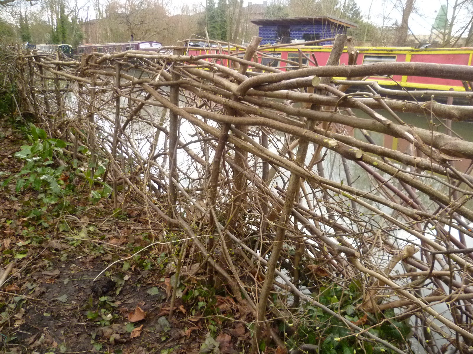 Worcester College Gardeners 2009-2018: Reinforcing The Canal Hedge With ...