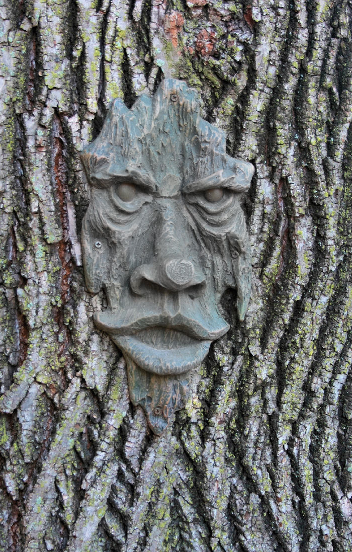 JunkinJane: My Tree Man Face