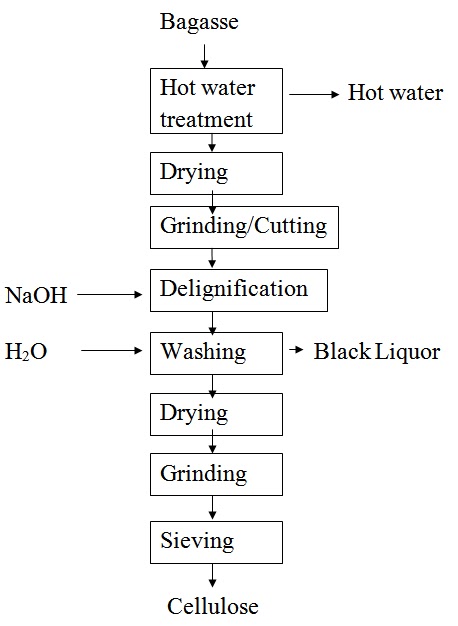 Process flow sheets: Production of cellulose gum from sugar cane bagasse