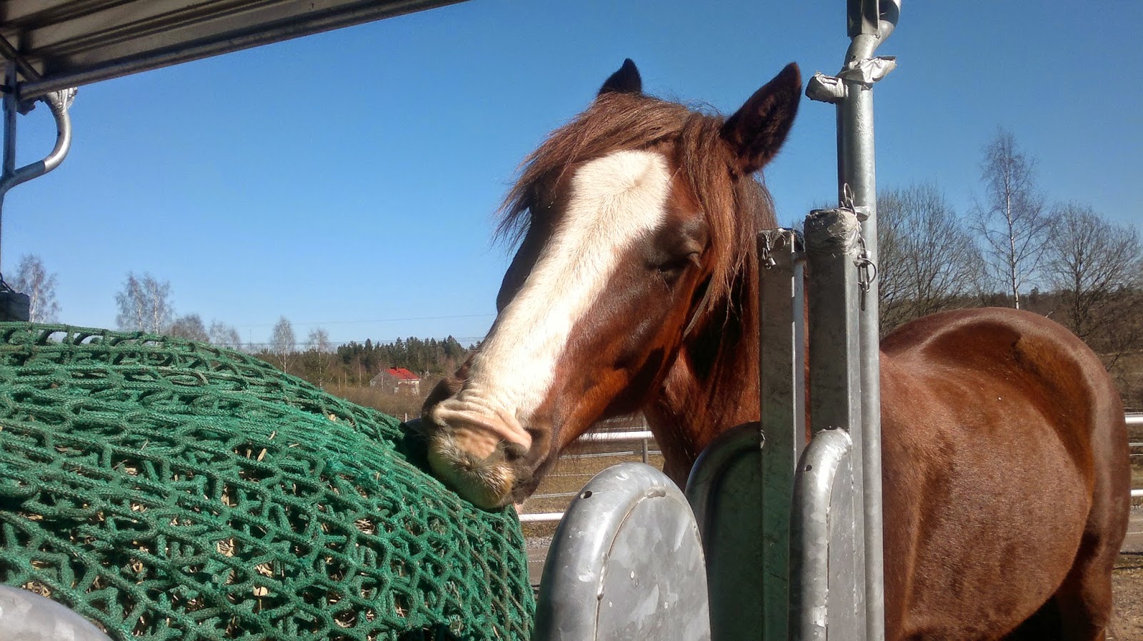 Tapahtumarikas Tallimme!