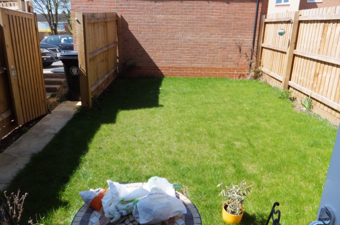 Mini Garden Makeover! Small Garden Ideas for Brightening Up a Low ...