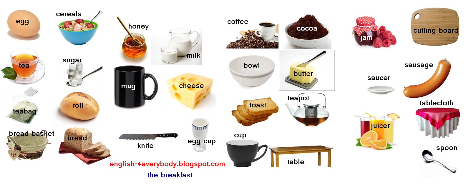 English For Beginners