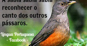 Olá! Como estás?: A sábia sabiá sabia...