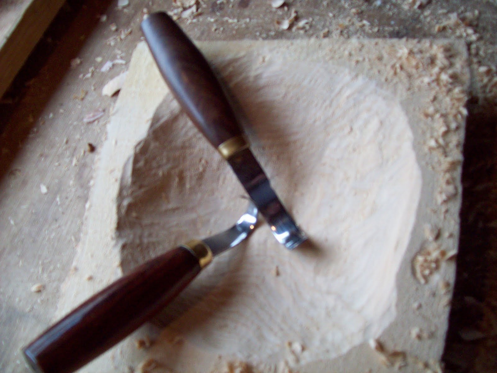 Talk From The Timber: October 2011