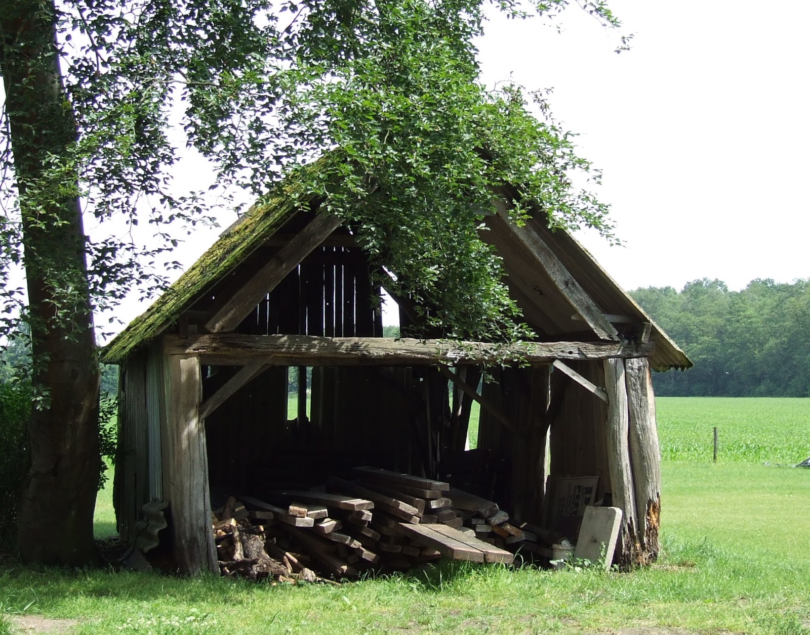 kenderfrau: Old Shed