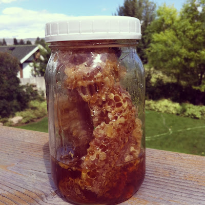 The Parsimonious Princess: Sweet Success: Our Very First Honey Harvest