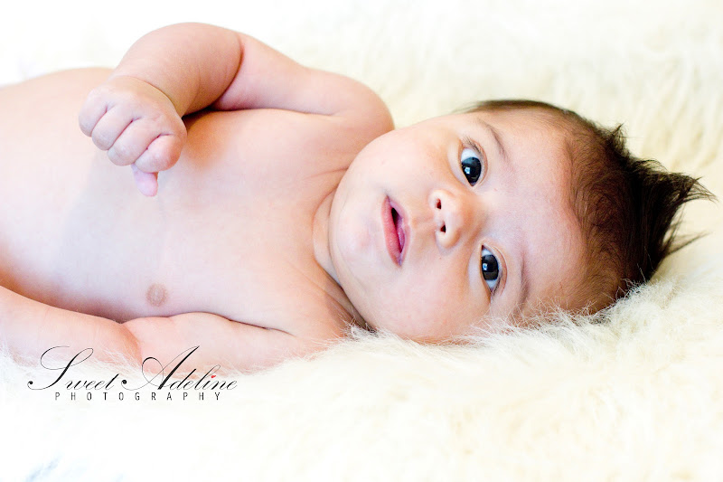 Sweet Adeline Photography