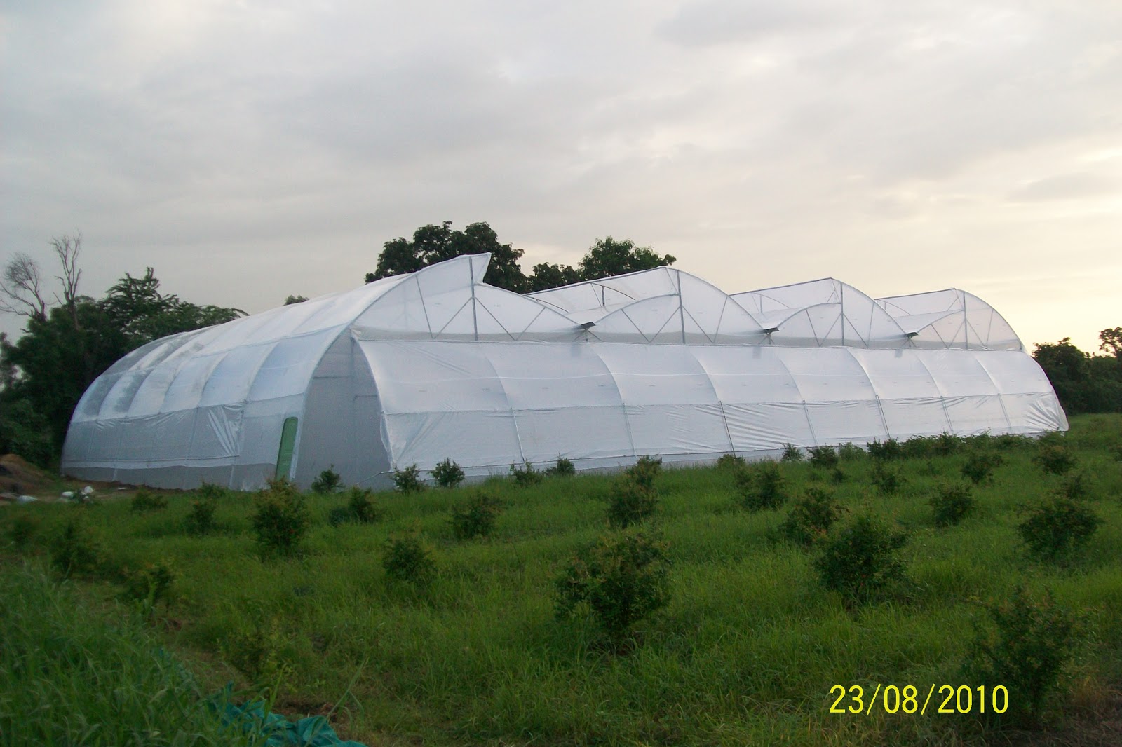 Agricultural Applications: NET HOUSE & POLY HOUSE CONSTRUCTION