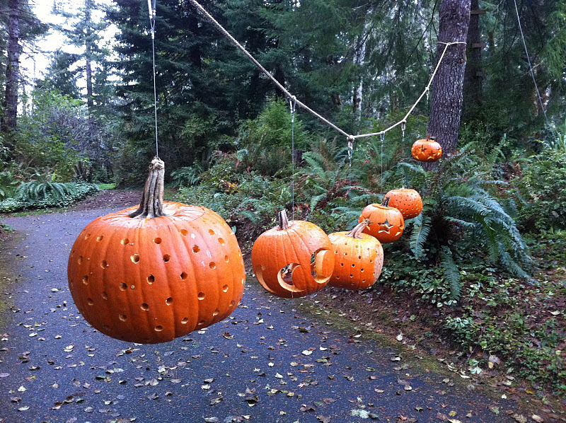 Floating Pumpkin Hanger Kits - Suspend REAL Pumpkins Anywhere: Photos Page