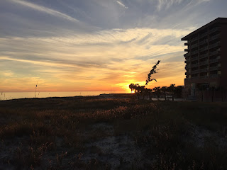 Travel Reviews & Information: 2018