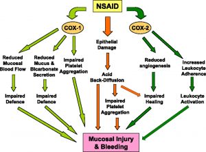 NSAIDs: Non-Steroidal Anti inflammatory Drugs.