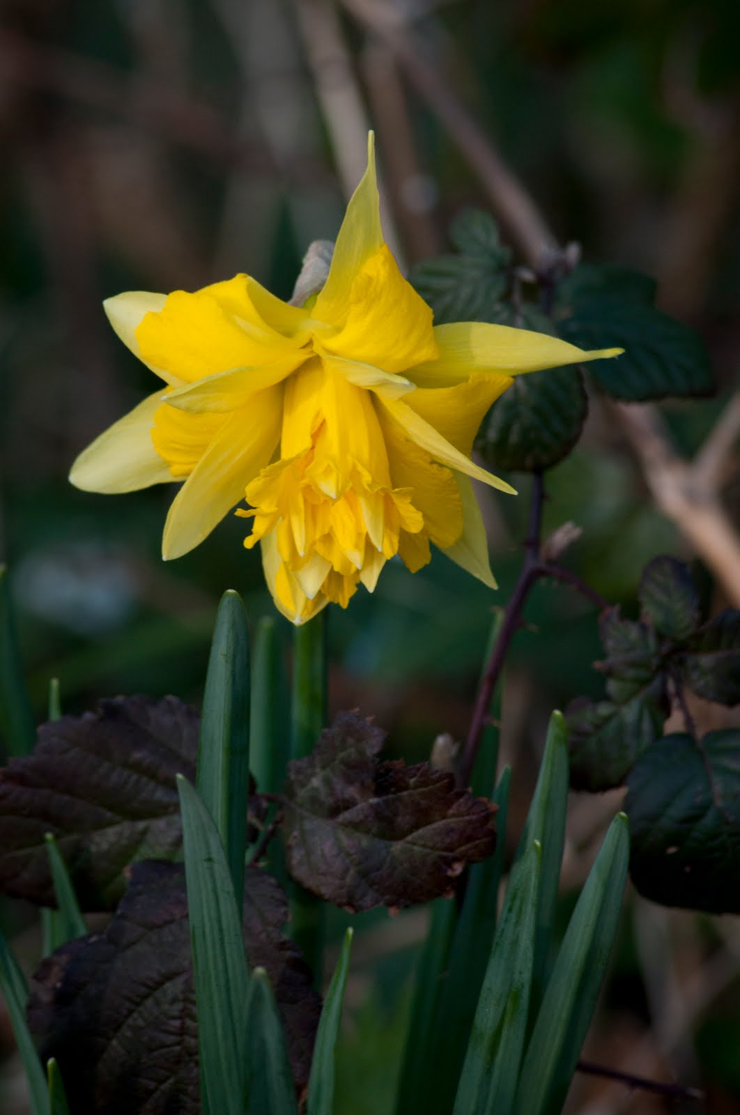 Photobrook Photography: March 2011