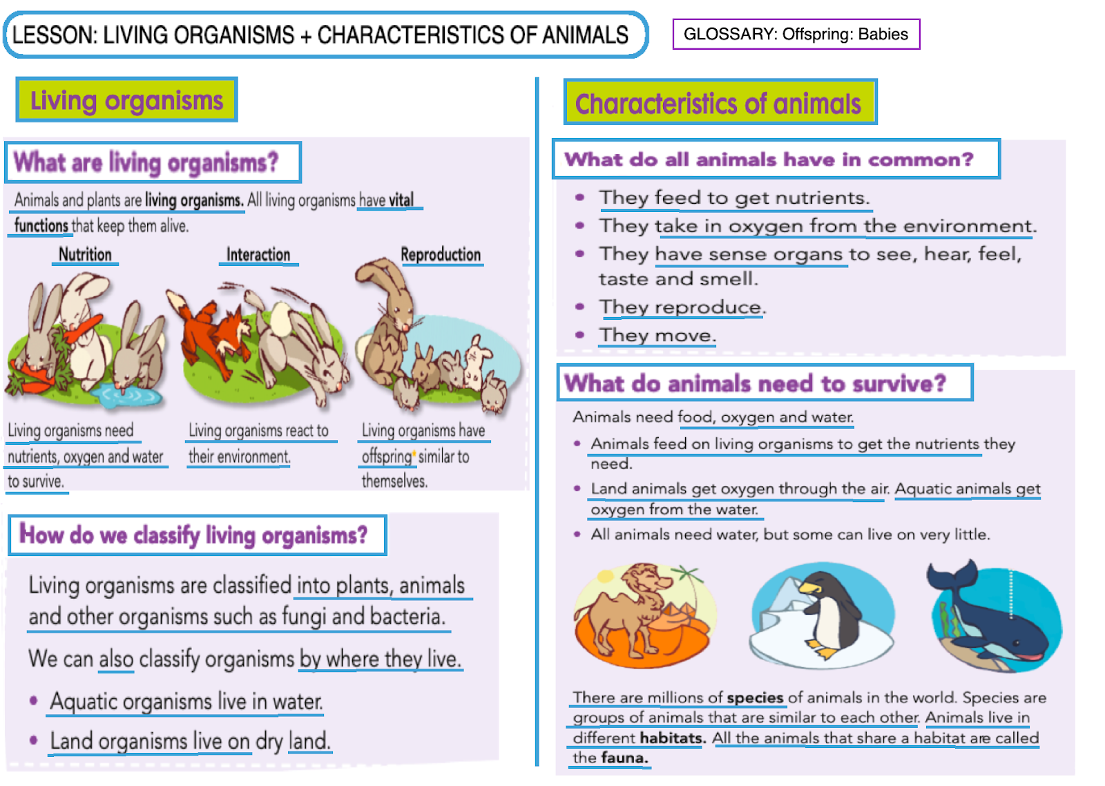 Blog de 3º de Primaria: Natural Science - NEW UNIT - ANIMALS - LESSON ...