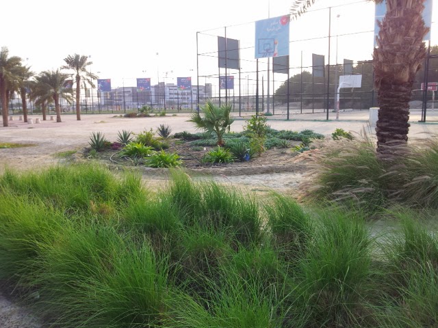 Life in Kuwait Blog: Mishref Park