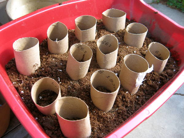 Knit, Click, & Stir: April Fooling Around with Paper Mache