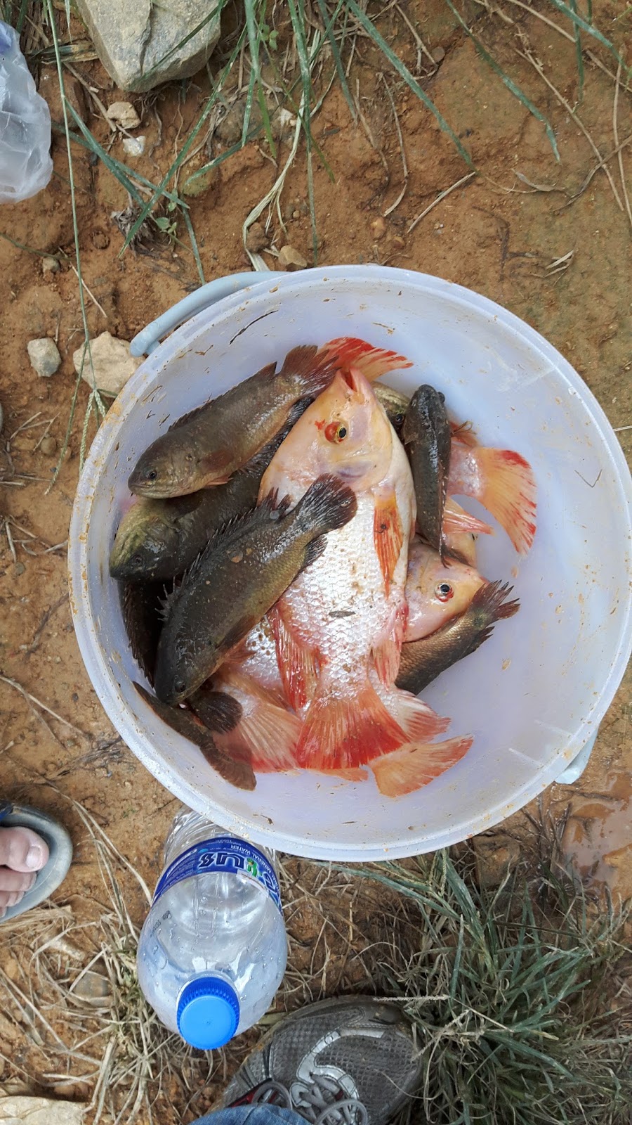 My finding / explorer in KL life: Fishing Moment Together, Thanks to ...