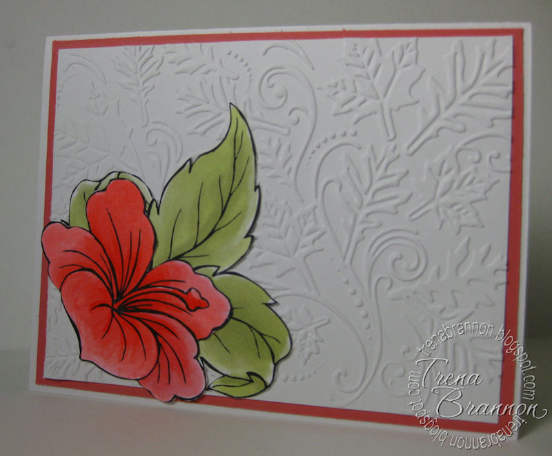 Trena's Stampin' Headquarters: New Sheena Release!