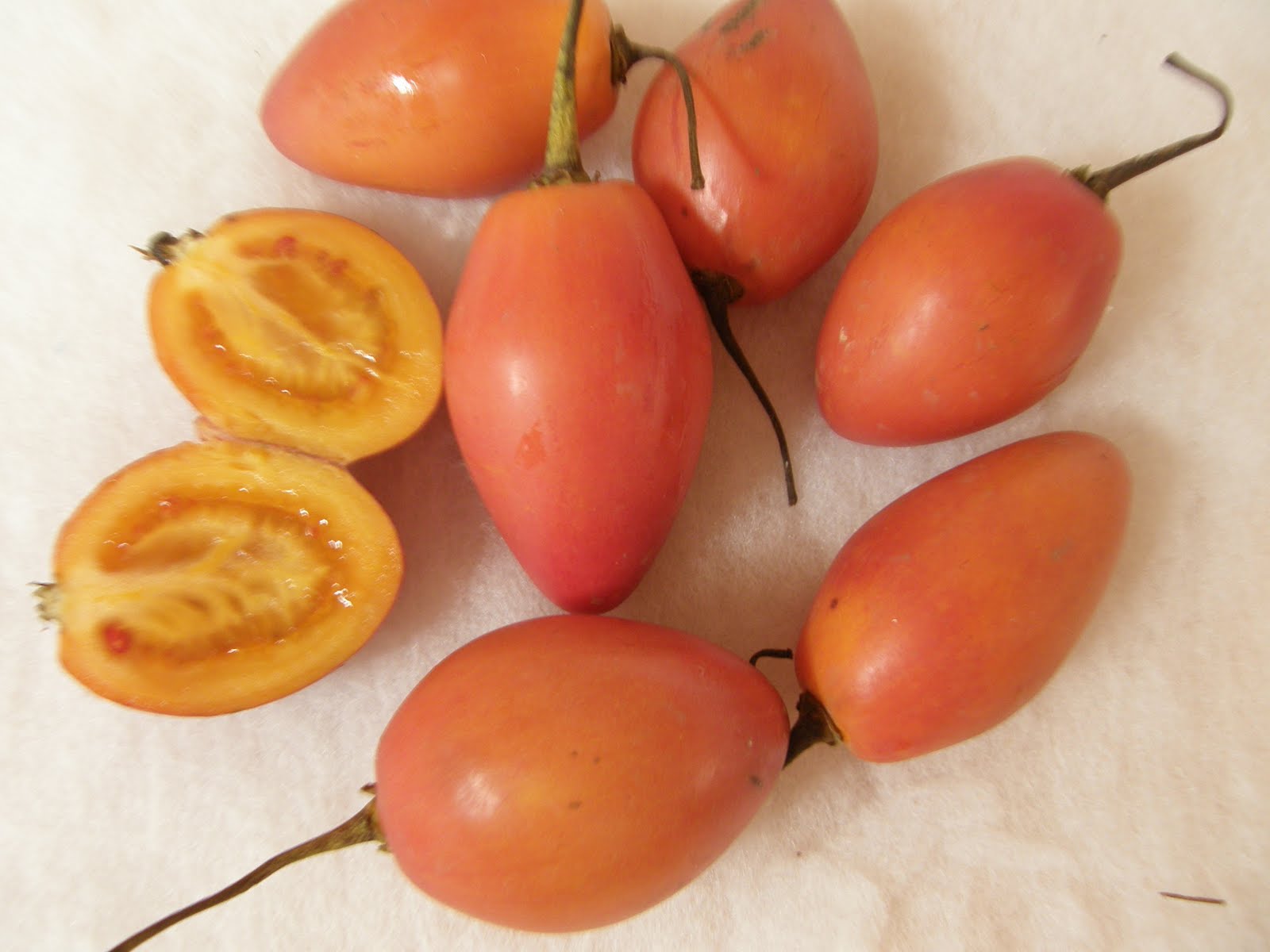 BOATBUMMS LOG: Tropical Fruits