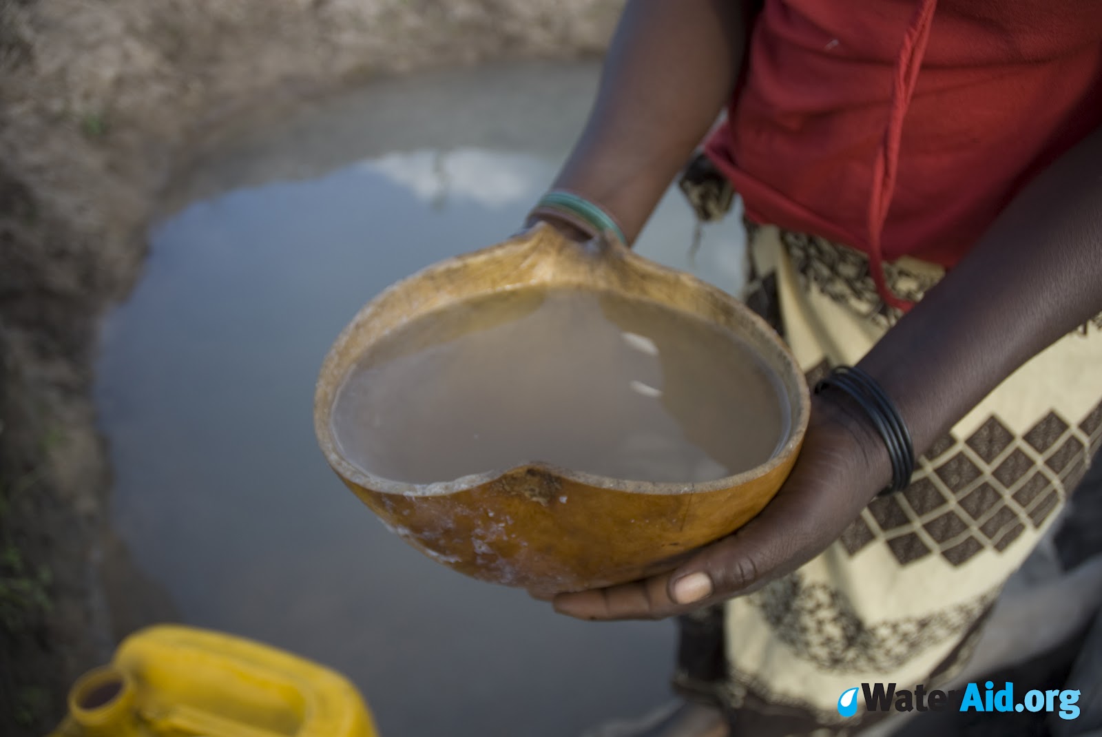 Water Pollution - The Real Stink