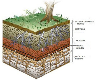 EL SUELO - Imagenes de Amor Bonitas