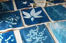 BeSoStyle: diy: sun prints