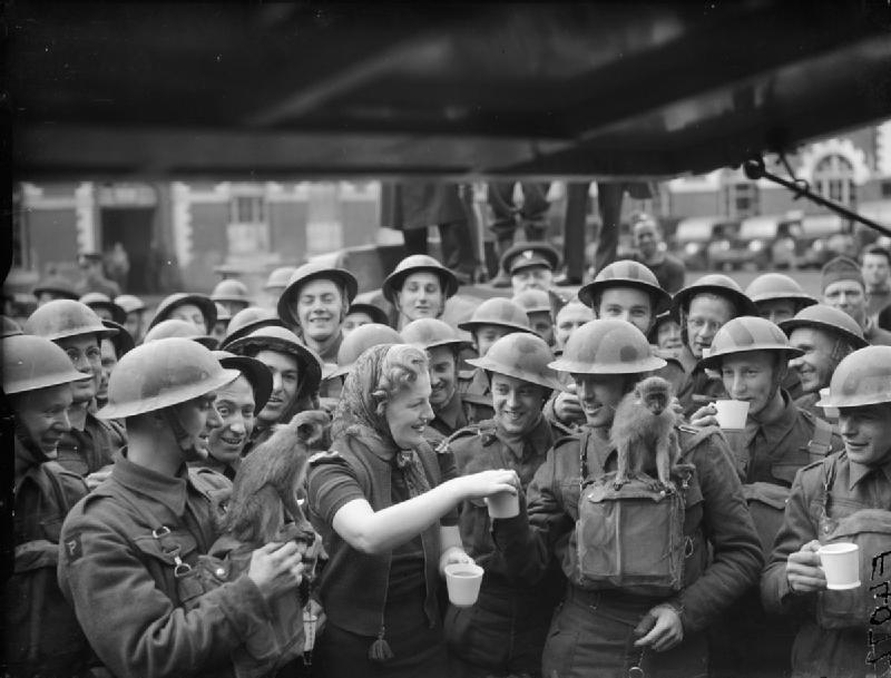 Tea, the Soldier's Drink - TrainingsNews