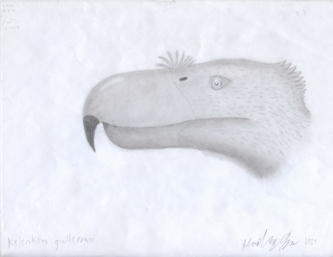 Sounder Art: Kelenken guillermoi