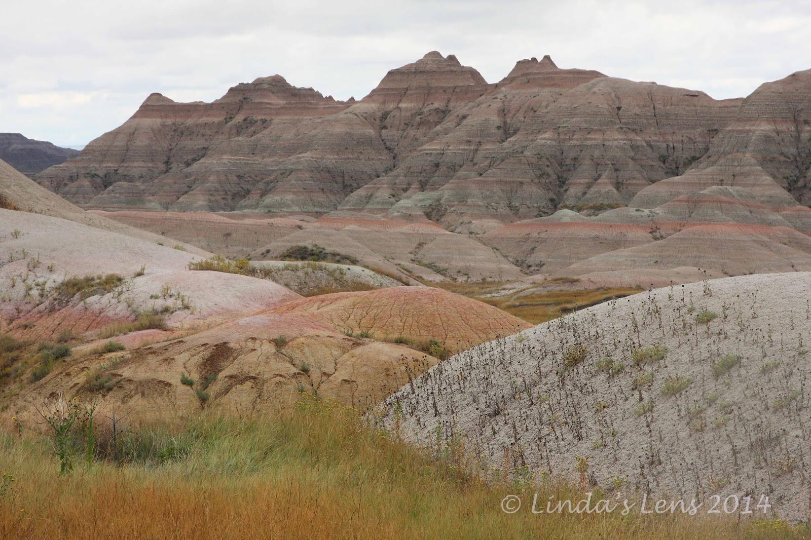 Linda's Lens: Badlands