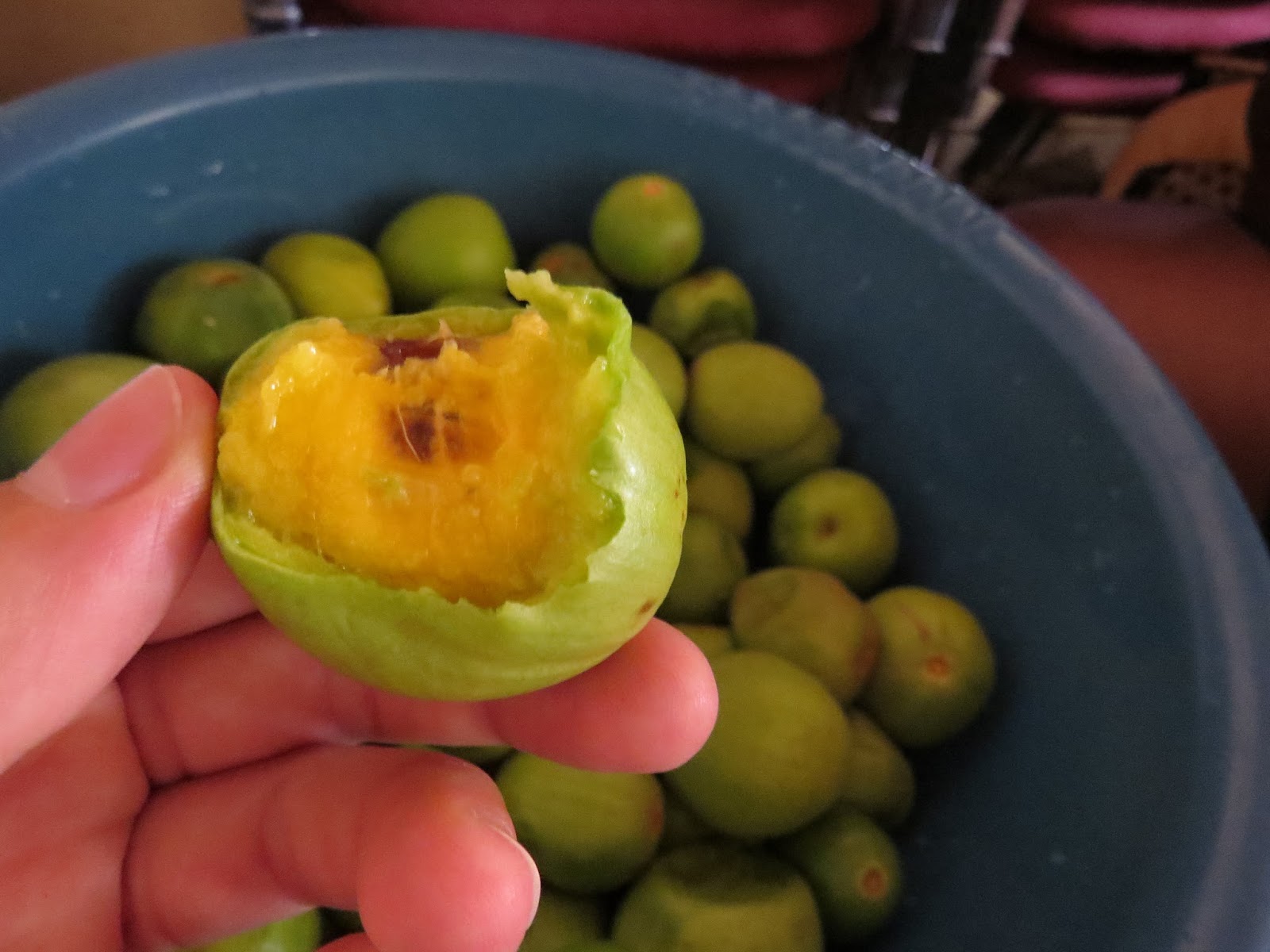 Bride in Burkina: Karite