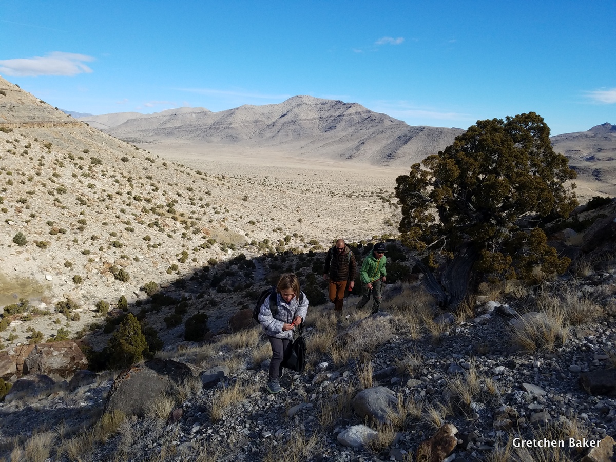 Desert Survivor: Fossil Mountain and Ibex Playa, Utah