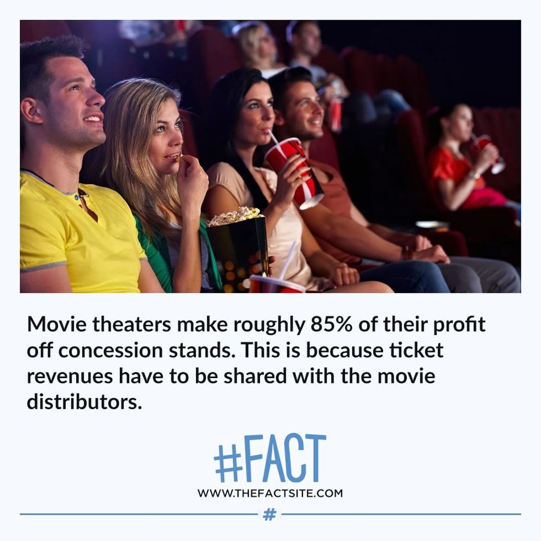 10 RANDOM TRUE FACTS – FUN FACTUAL ACTUAL FACTS 5 | Amazing WTF Facts