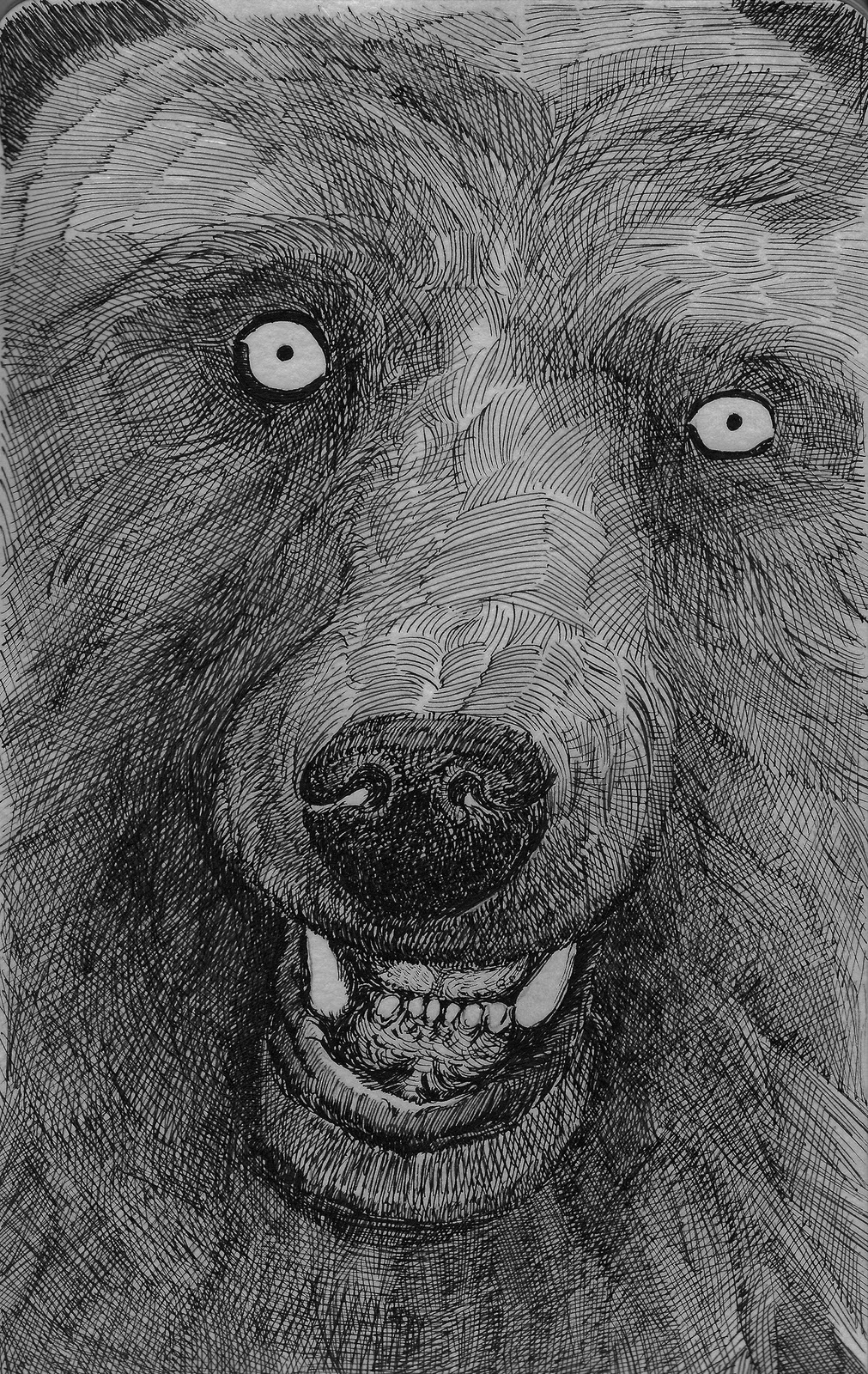 Wilsonic Illustration: There's a Bear in the Woods. Are You Afraid of ...