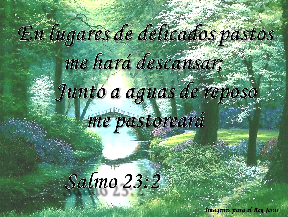 Imágenes para el Rey Jesús: Salmos