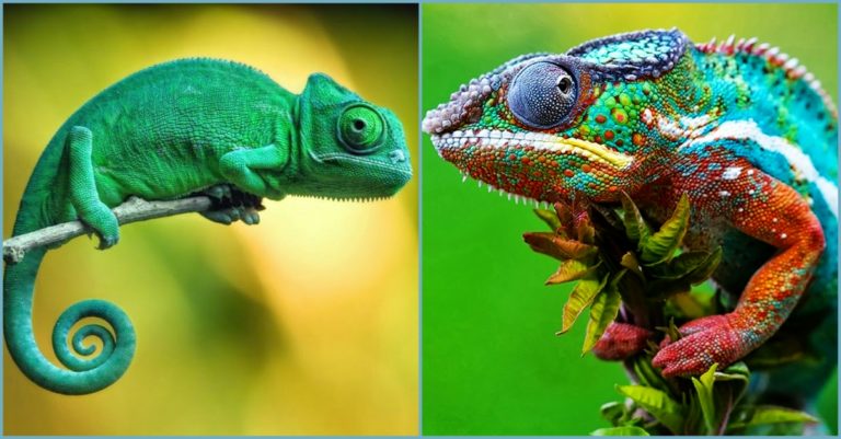 LOS PICHURRIS EN EL RINCÓN DE LA VICTORIA. UN DÍA DE AMISTAD COMPARTIDA ...