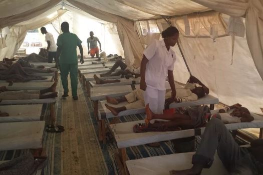 24 fresh cases of Cholera recorded in Adamawa State - 9jaa Eye