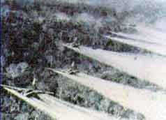Remote Sensing: The Cause and Effect of Agent Orange in Vietnam